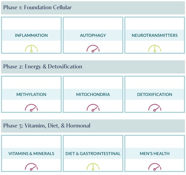 NBX Wellness Client Nutrigenomics Testing Guide