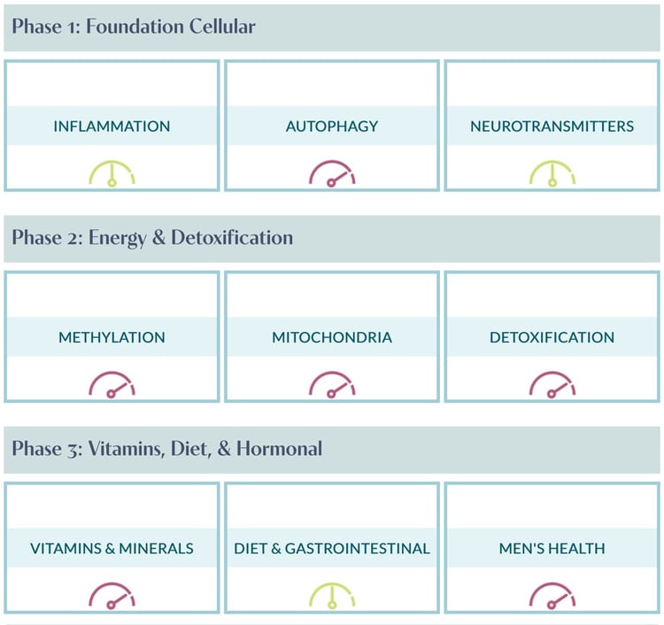 NBX Wellness Client Nutrigenomics Testing Guide