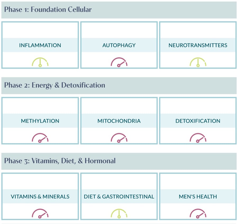 NBX Wellness Client Nutrigenomics Testing Guide